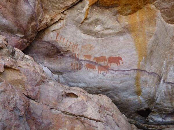Escape to the Cederberg: All You Need to Know About This Region
