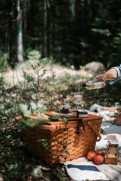 Garden Route Picnics: Hidden Gems