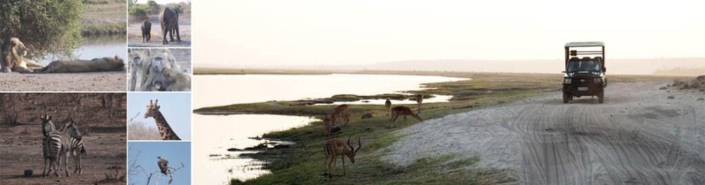 Kavango-Zambezi Transfrontier Conservation Area
