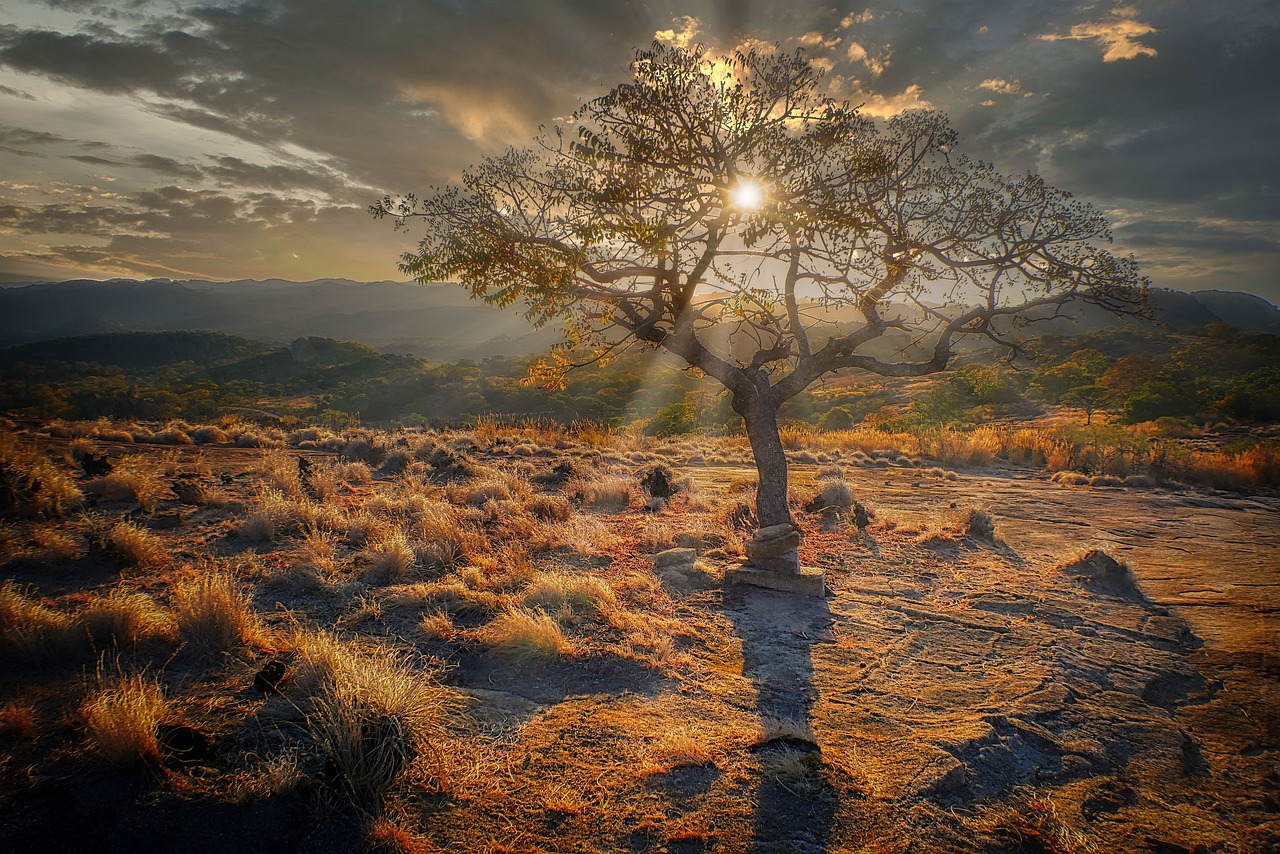 How to Experience the Best Zimbabwe Tour