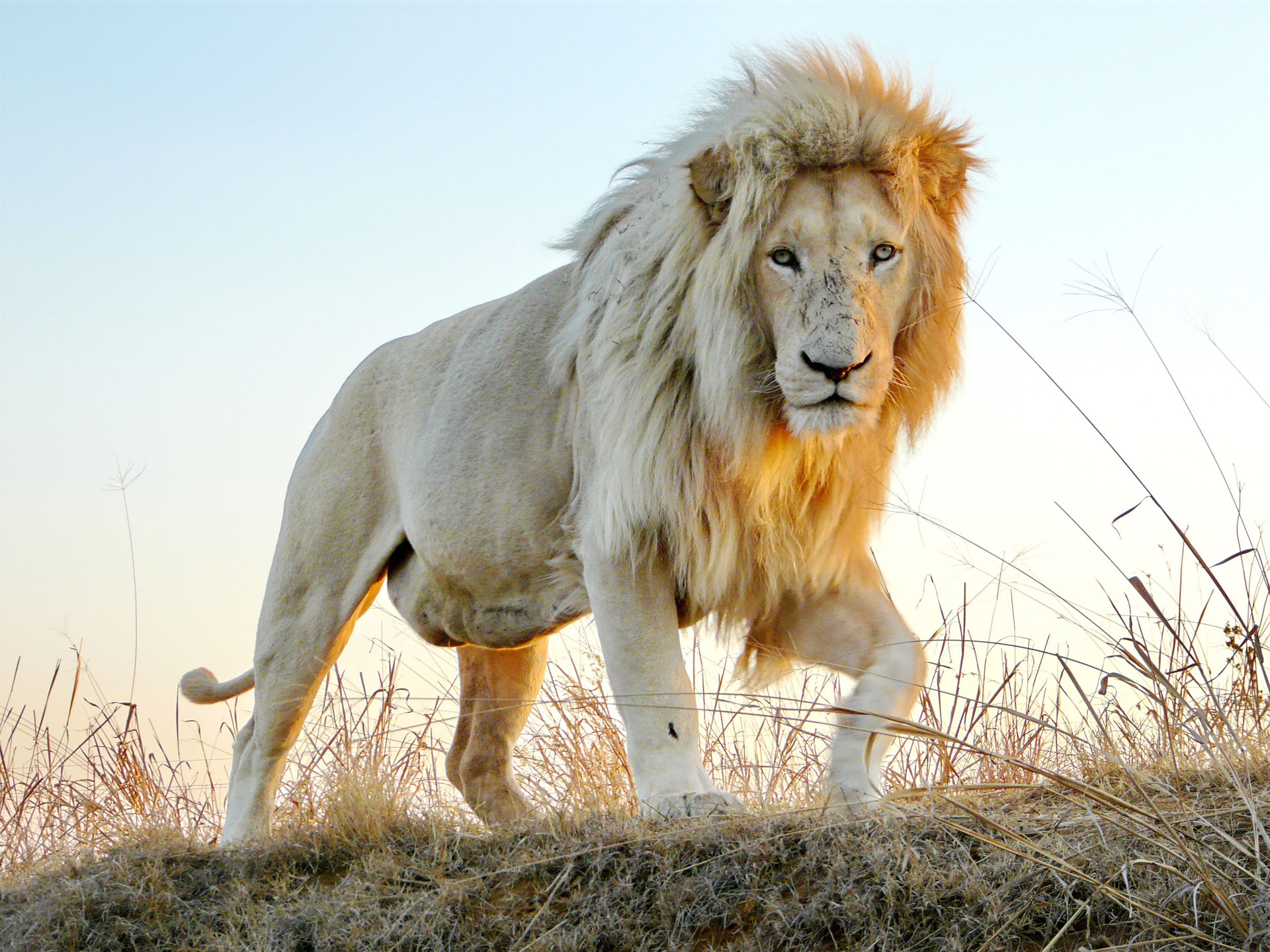 The Top African Eco-Tourism Destinations 2024