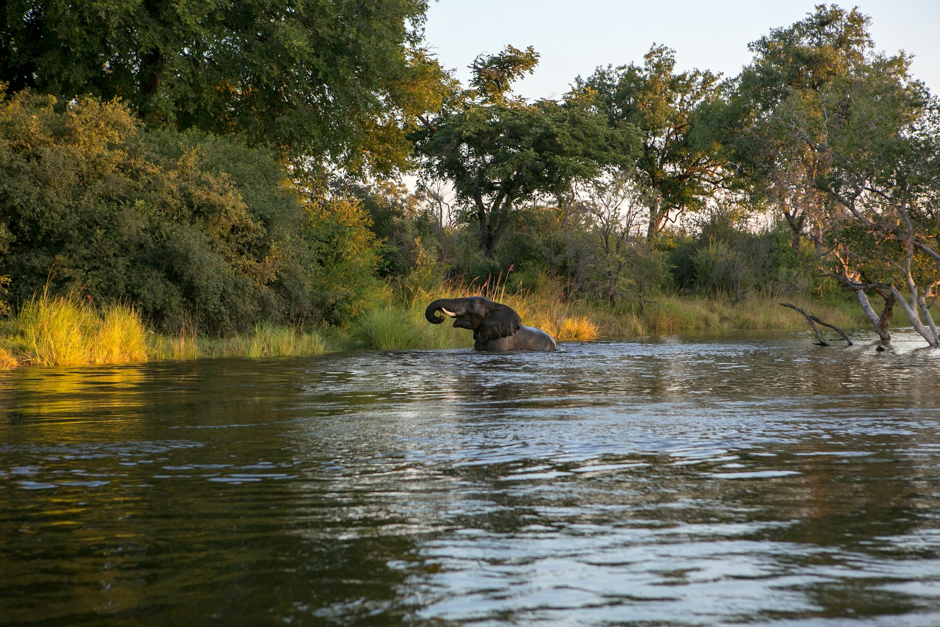 The Best Things to See and Do in Zambia