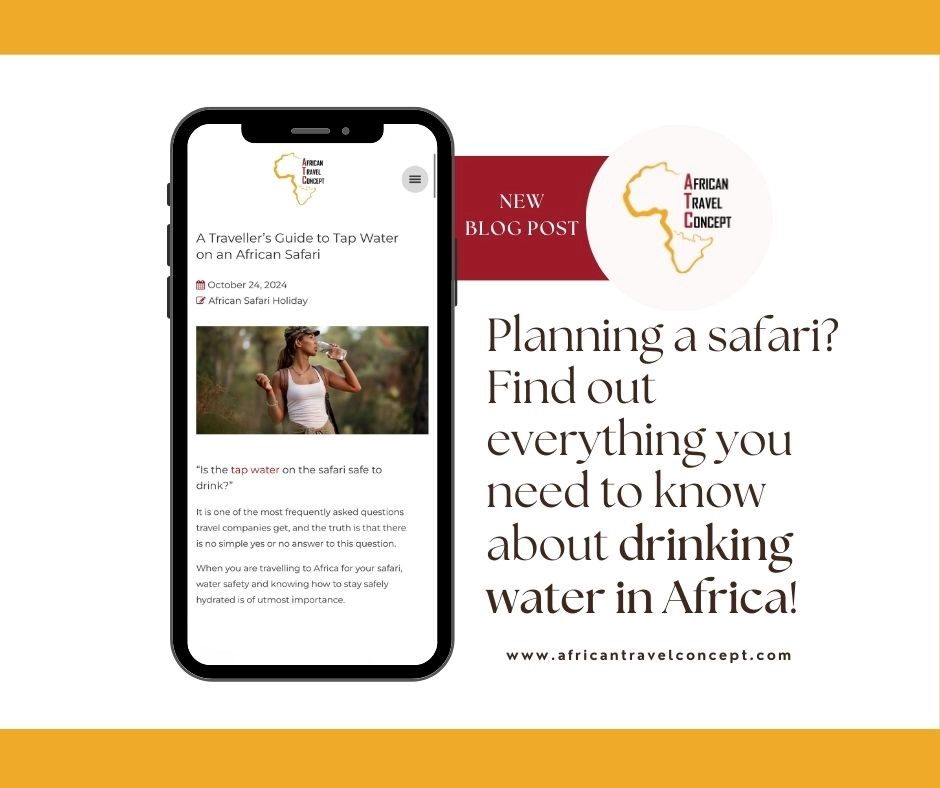 A Traveller’s Guide to Tap Water on an African Safari
