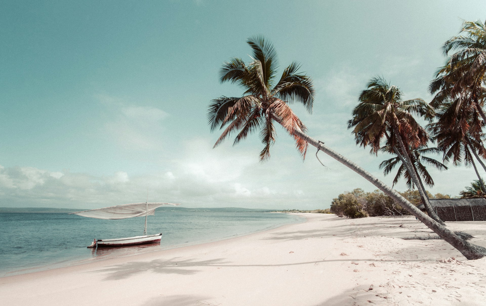 The Best Beach Safaris in Africa