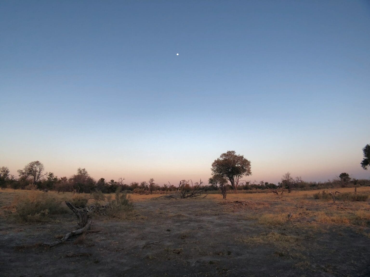 Is Botswana Safe? All You Need to Know