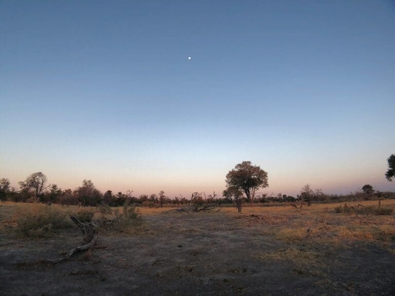 Is Botswana Safe? All You Need to Know