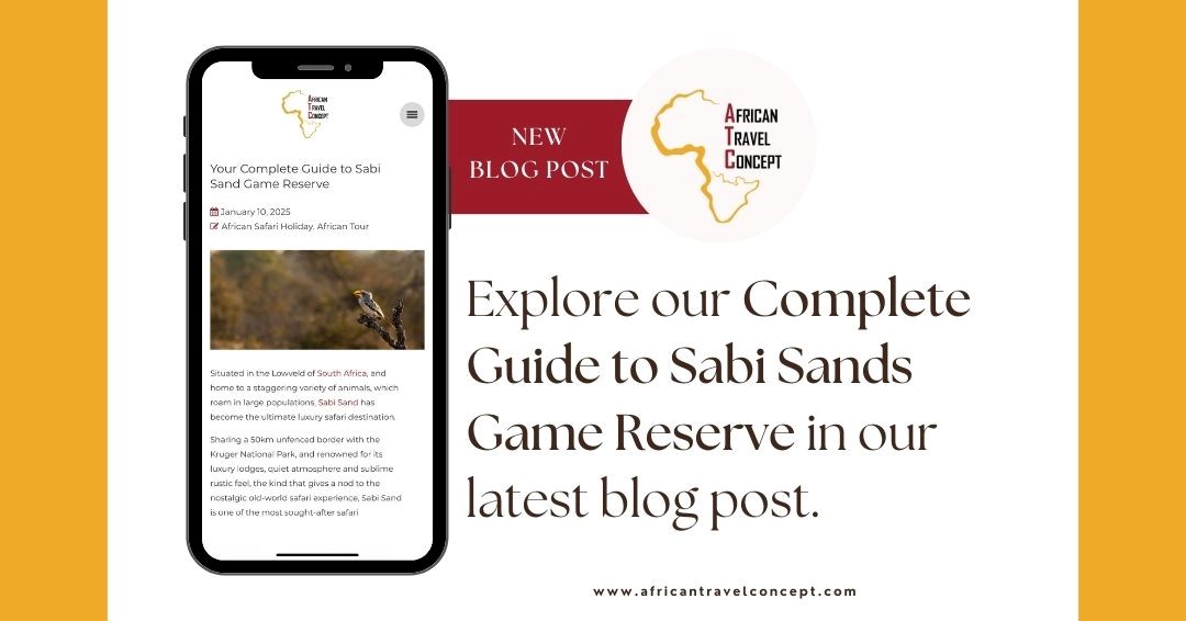 Your Complete Guide to Sabi Sands Game Reserve