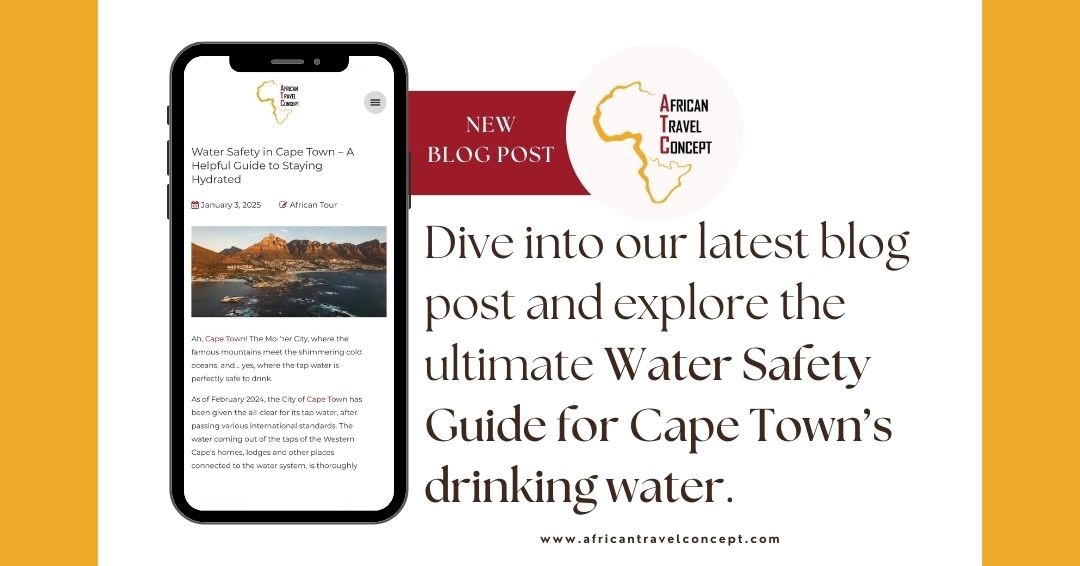 Water Safety in Cape Town