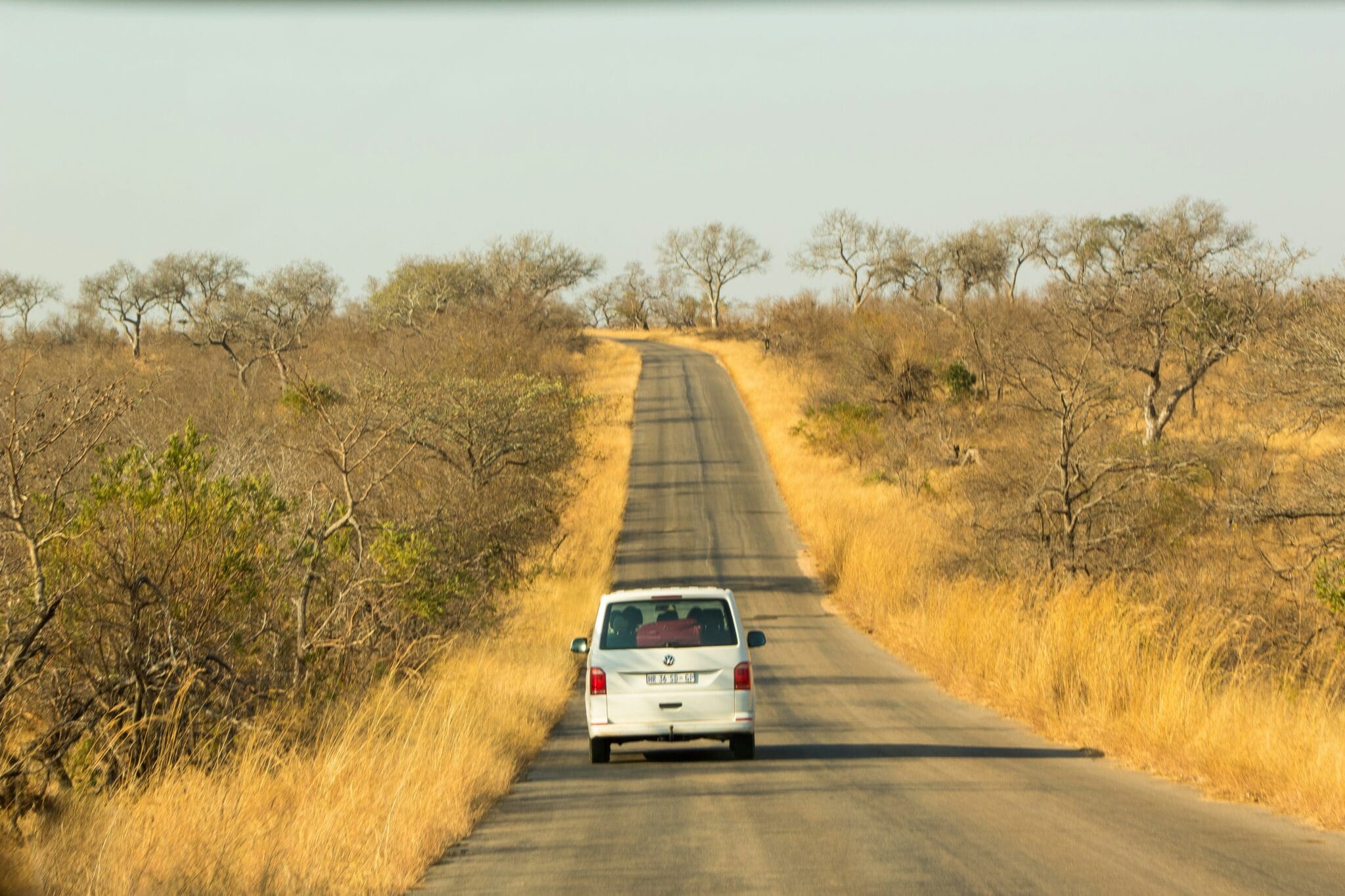 The Fascinating History of the Kruger National Park