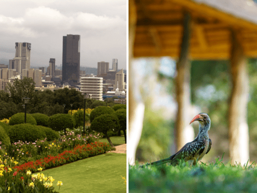 Blue Train South Africa | Iconic Luxury RailTravel