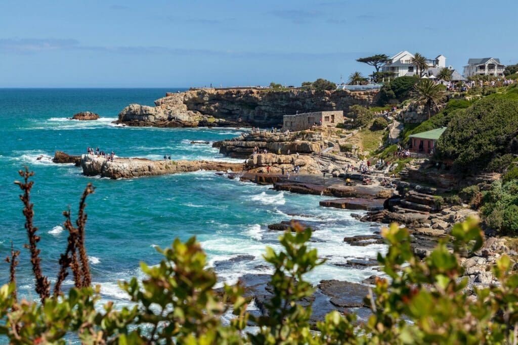 Hermanus Whale Watching: The Ultimate Luxury Guide