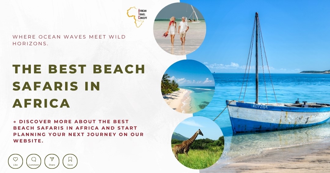 The Best Beach Safaris in Africa