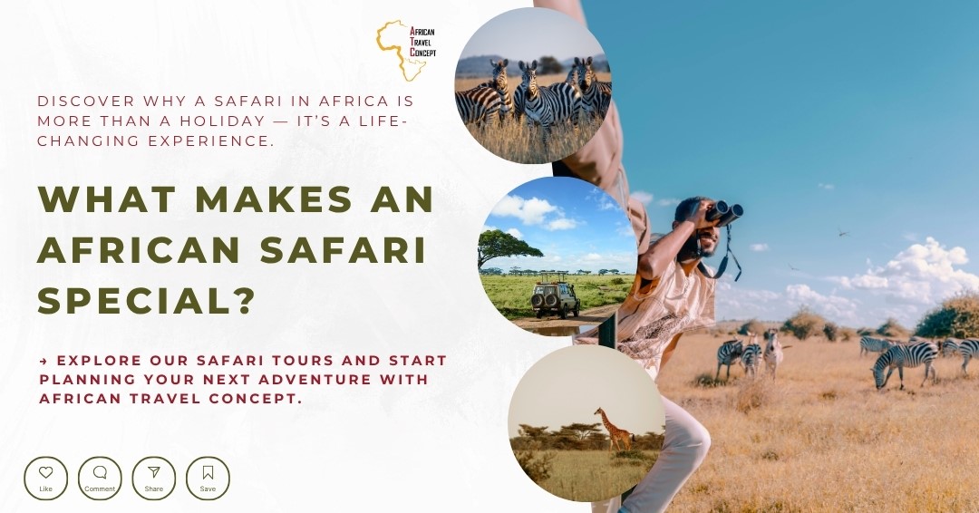 What Makes an African Safari Special?