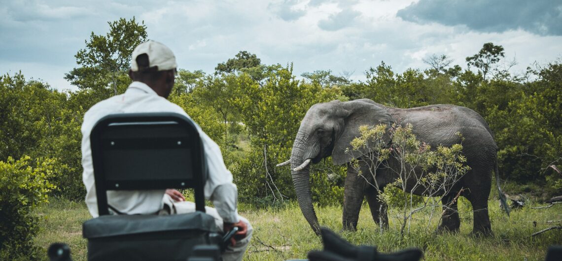 The Fascinating History of the Kruger National Park