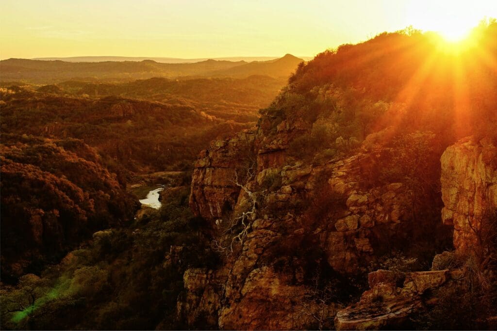 How Big is the Kruger National Park? It's Enormous!