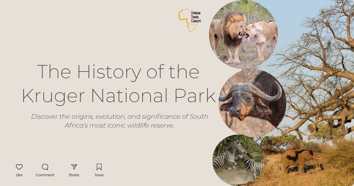 The Fascinating History of the Kruger National Park
