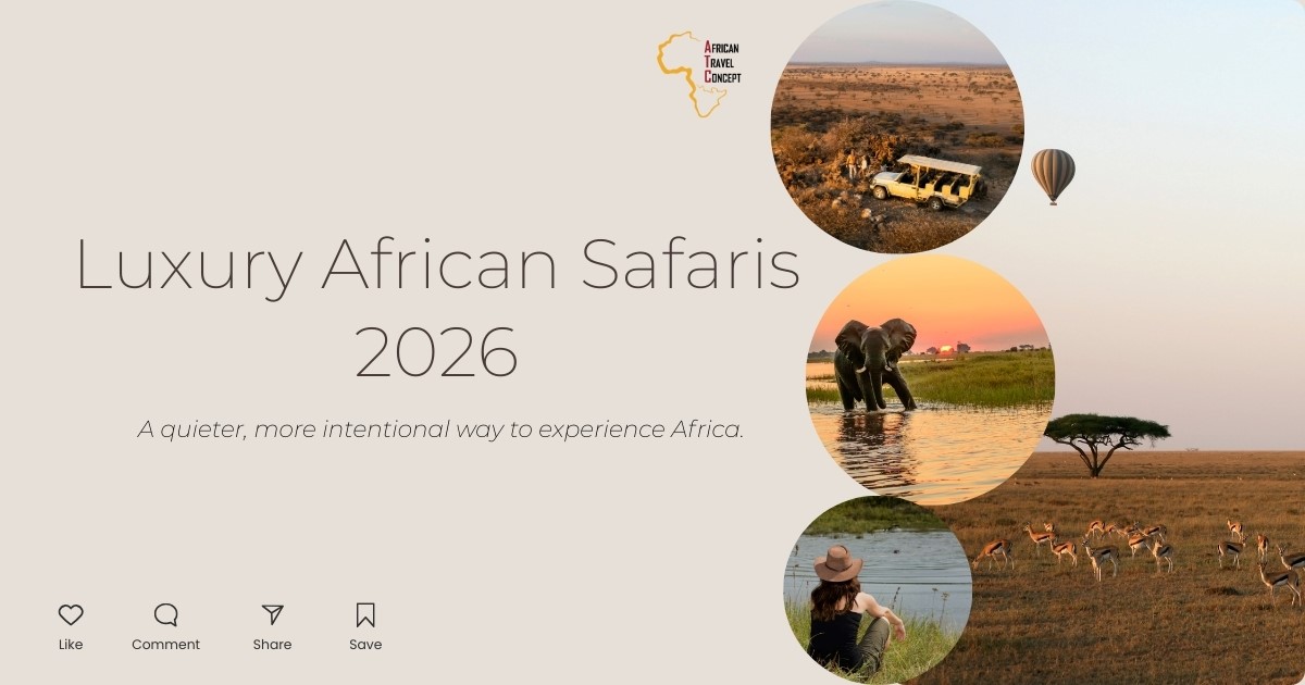 Luxury African Safari Tours and Packages for 2026